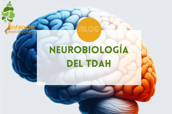 Neurobiología del TDAH - Infancia y Desarrollo Pleno