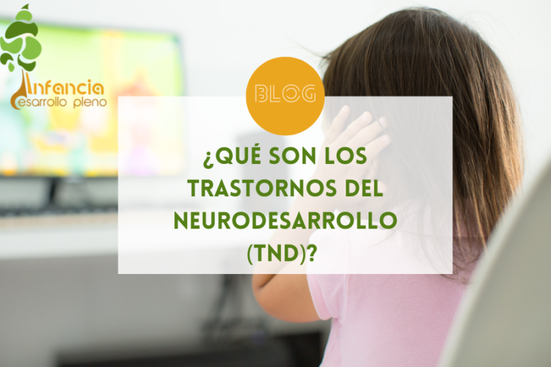 ¿Qué son los trastornos del neurodesarrollo? - Infancia y Desarrollo Pleno