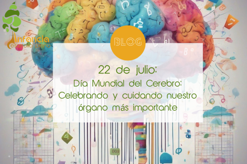Día Mundial del Cerebro: Celebrando y cuidando nuestro órgano más ...